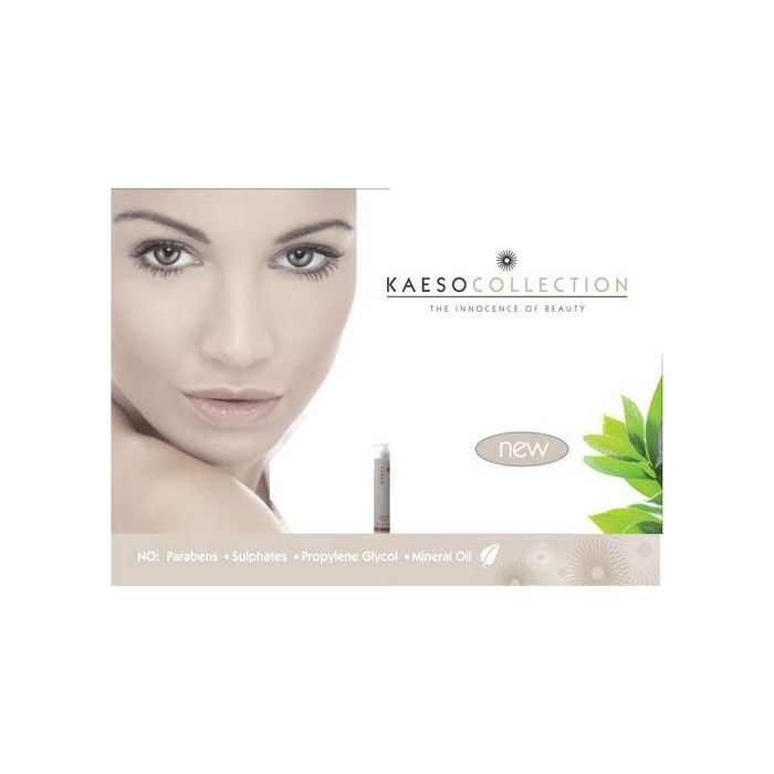 Kaeso Complete Salon & Retail Intro Kit - Professional Choice