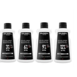 Goldwell Professional System Developer 1000ml - Professional Choice